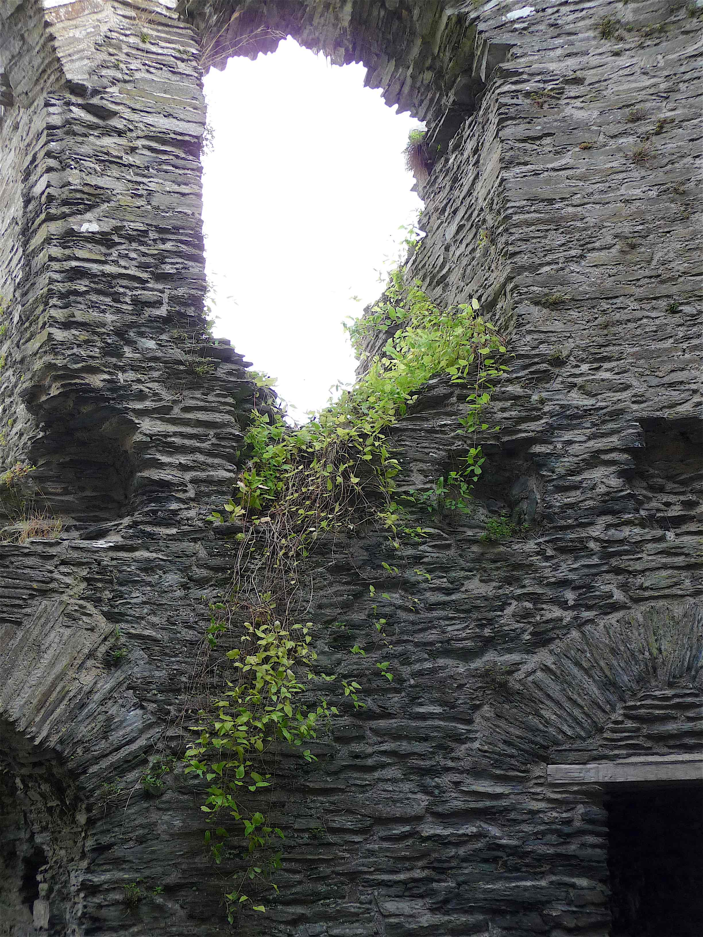 Cilgerran Castle | cannonhillchronicles